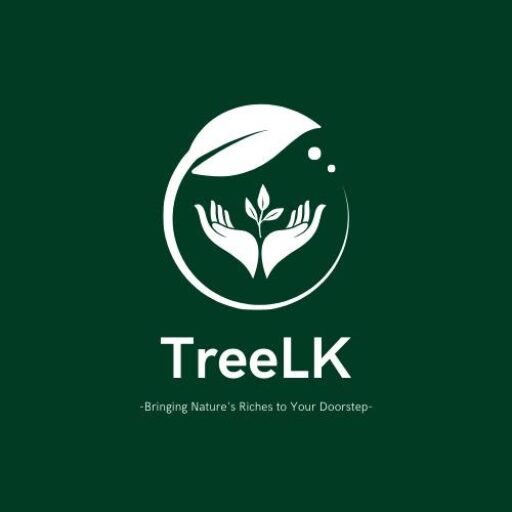 Tree.lk | Bringing Nature to Every Corner